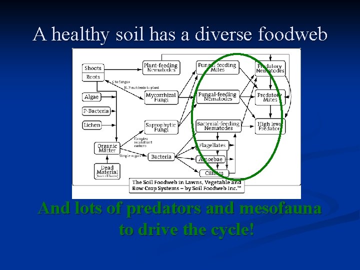 Soils Climate Change What is soil Soil is
