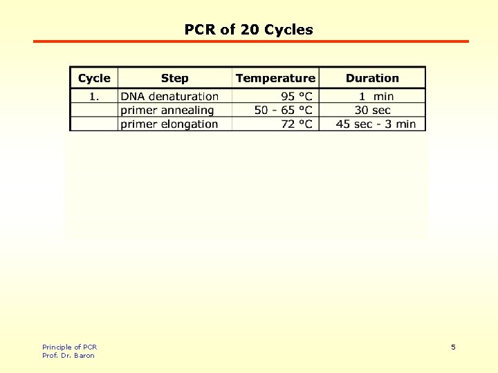 Principle of PCR Prof Dr Baron 1 PCR