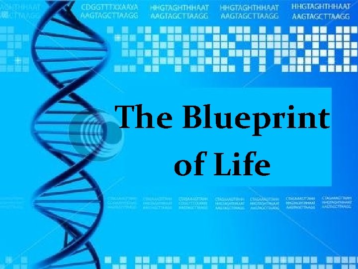 The Blueprint of Life DNA HISTORY Friedrich Miescher