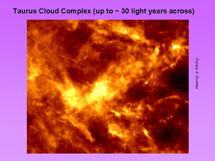 How Stars Form Shantanu Basu Physics Astronomy University