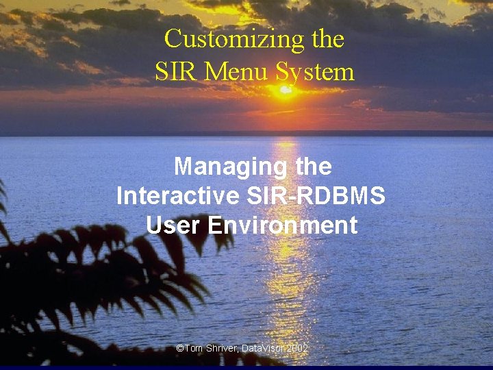 Customizing the SIR Menu System Managing the Interactive