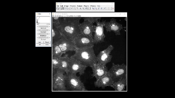 Cell Image Analysis Part 1 David Julian University