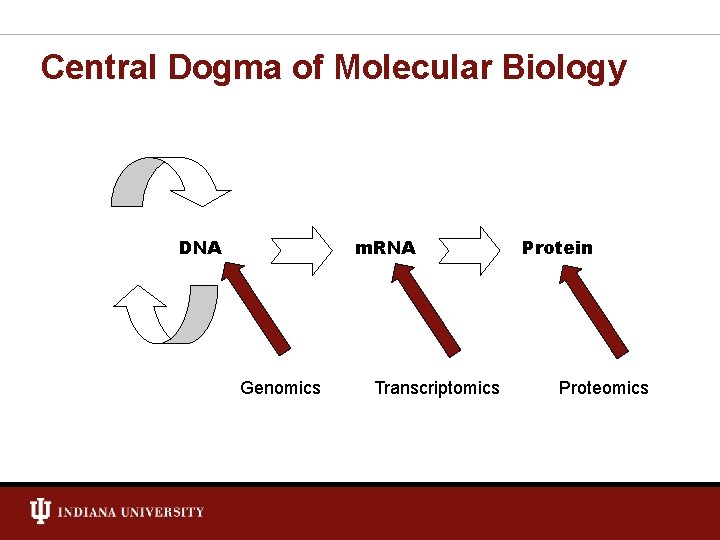 Genomics Transcriptomics and Proteomics Engaging Biologists Richard Le