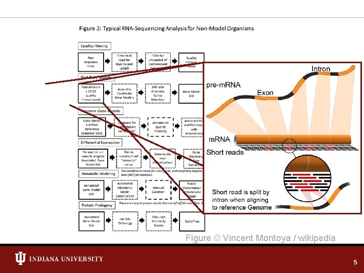 Genomics Transcriptomics and Proteomics Engaging Biologists Richard Le