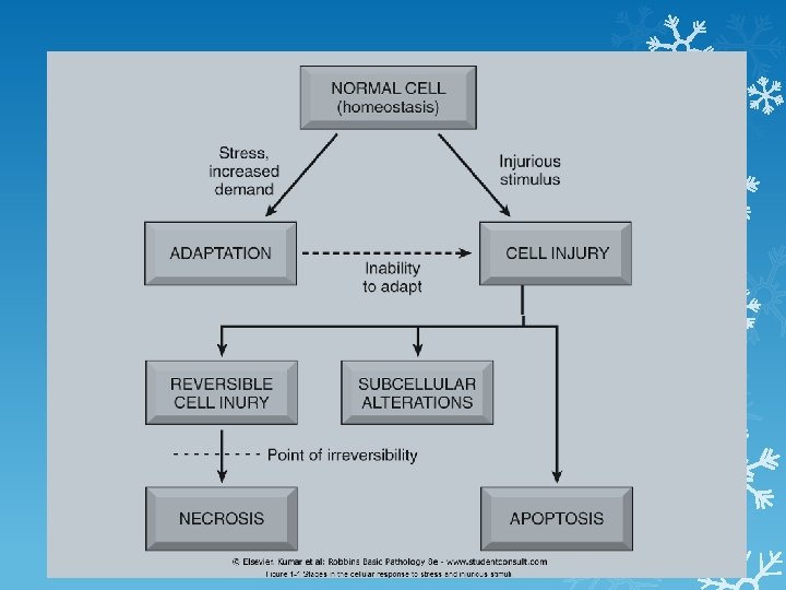 MEKANISME KEMATIAN JARINGAN DAN NEKROSIS DALAM SEL KEMATIAN