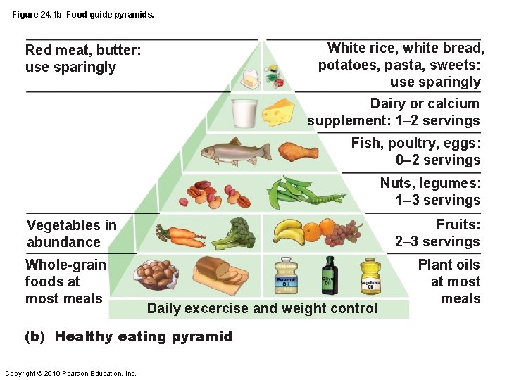 Figure 24 1 Food guide pyramids Grains White