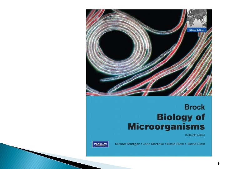 General Microbiology BIO 306 Contact Information Office A