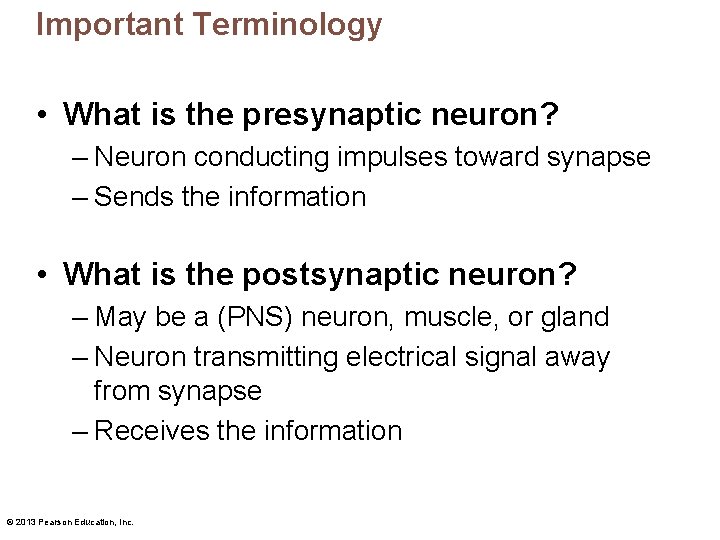 Power Point Lecture Slides prepared by Barbara Heard