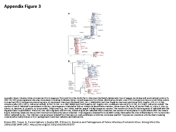 Appendix Figure 3 nbsp Feline coronavirus FCo V
