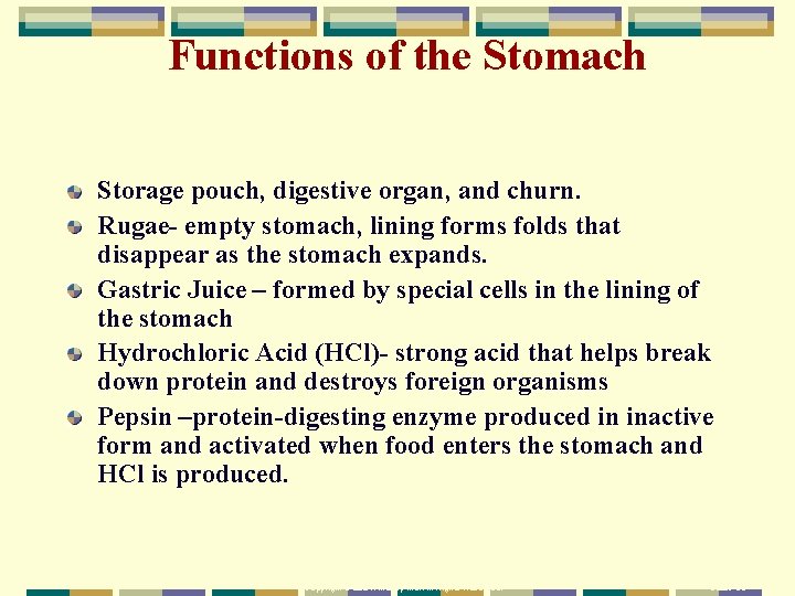 Chapter 15 The Digestive System Copyright 2004 Mosby