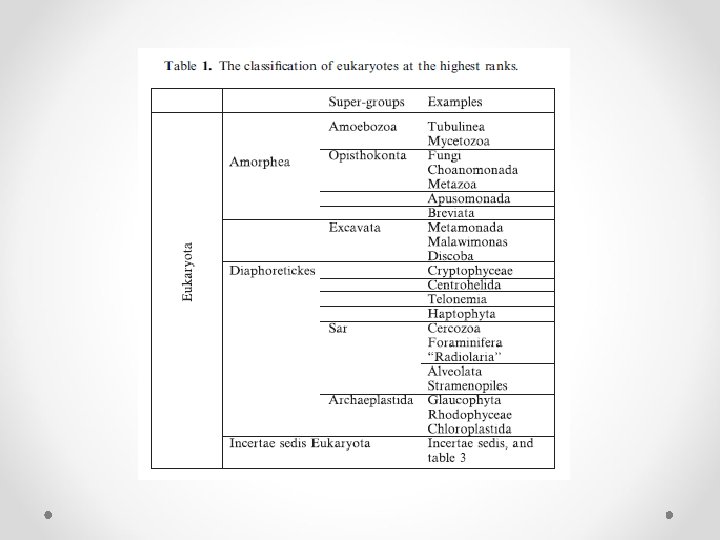 Cyathus sp Basidiomycota Hongos BIOL 3052 Fig 31