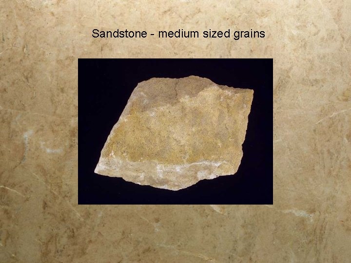 Table of Contents Title Types of Sedimentary Rocks