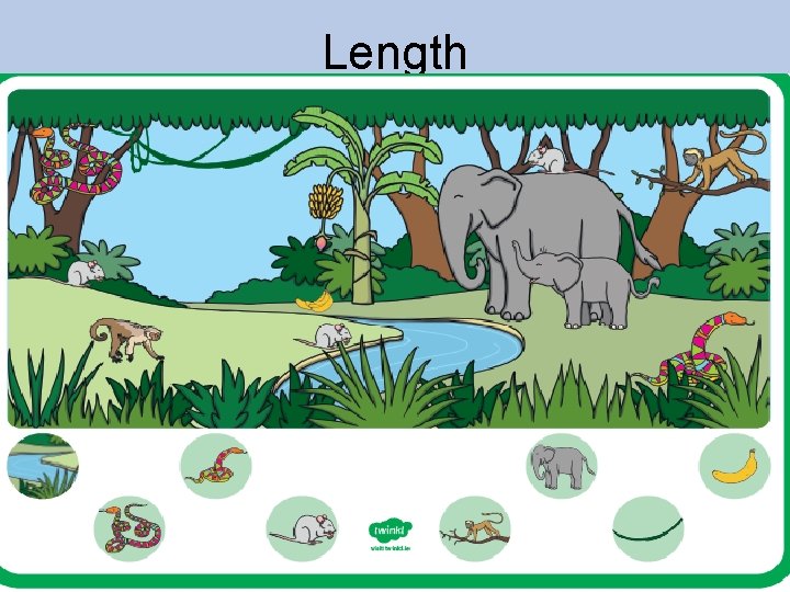Junior Infants NUMERACY Assumption Junior School May 18