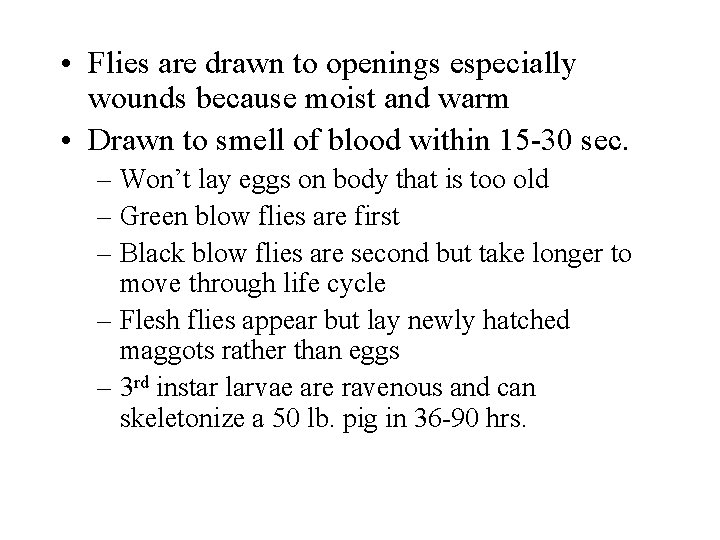 Forensic Entomology Blue blow fly Green bottle fly