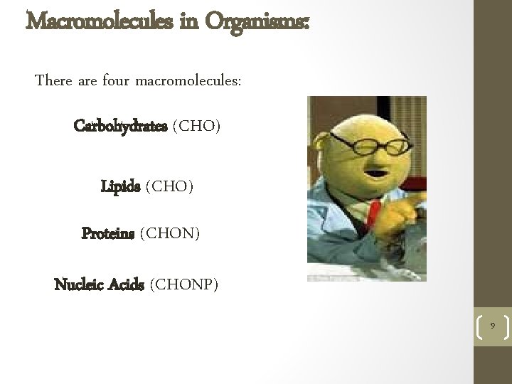 UNIT 1 UNDERSTANDING LIFE ON EARTH BIOMOLECULES INTRO