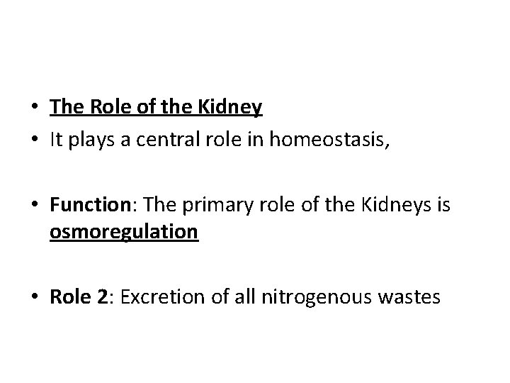 Lesson Review The Role of the Kidney It