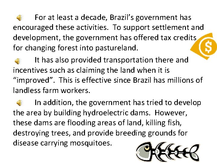Destruction of the Amazon Rainforest Adapted from Switzer