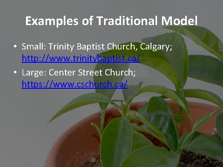 Models of Church Planting Chapter 20 Introduction Every