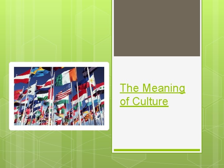 The Meaning of Culture What is Culture All