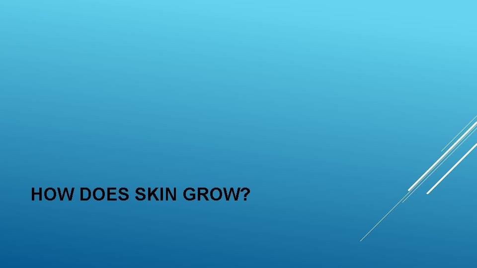 THE INTEGUMENTARY SYSTEM HOW DOES SKIN GROW 1