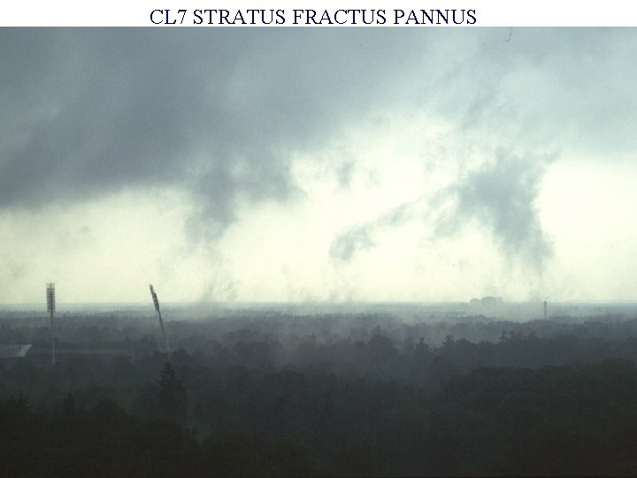 TIPOS DE NUBES OBJETIVO AYUDAR A LOS OBSERVADORES