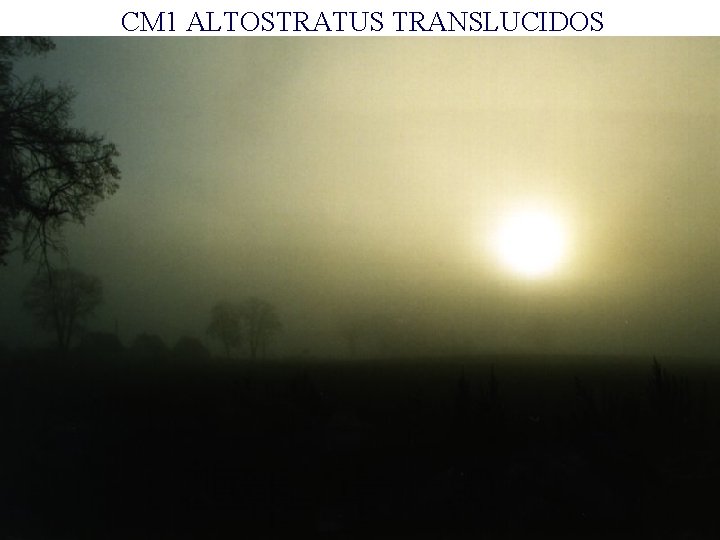 TIPOS DE NUBES OBJETIVO AYUDAR A LOS OBSERVADORES