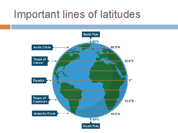The earths grid system Globe best describes the