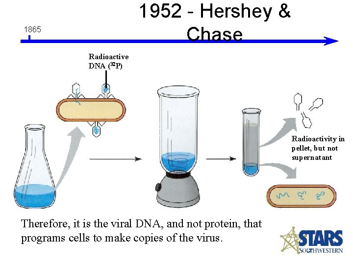 A Short History of DNA Technology The History