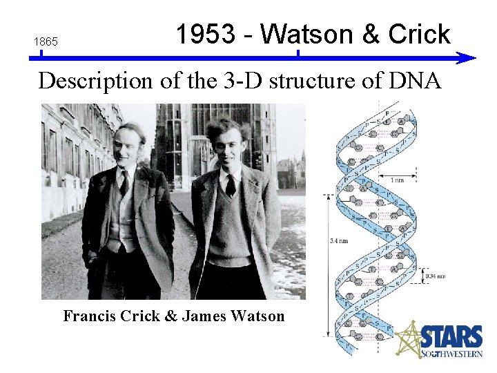 A Short History of DNA Technology The History