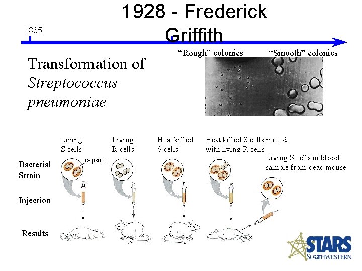 A Short History of DNA Technology The History
