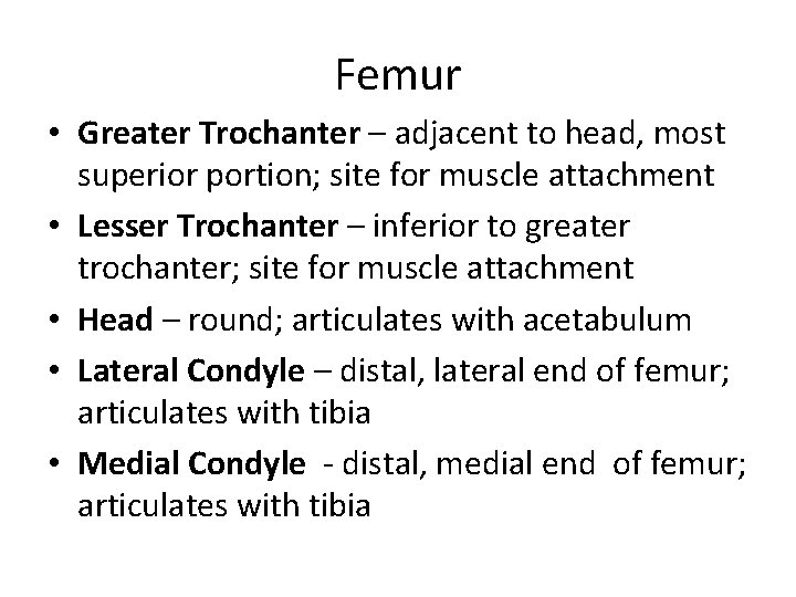 Bones of the Pelvic Girdle Formed by two