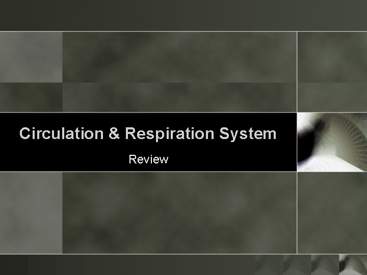 Circulation Respiration System Review Circulation o Blood Flow
