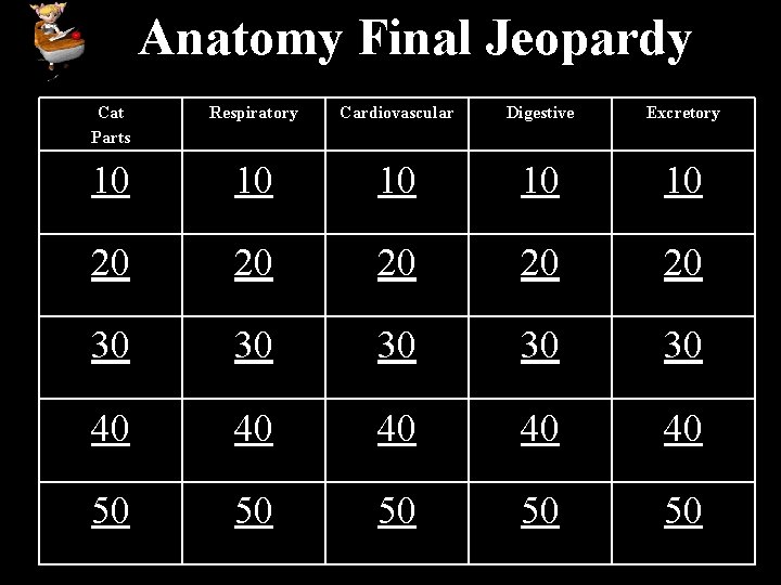 Anatomy Final Jeopardy Cat Parts Respiratory Cardiovascular Digestive