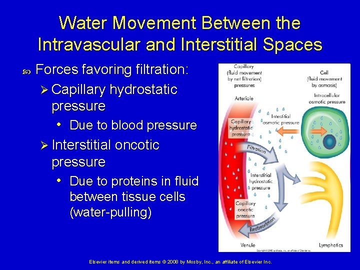 Fluids and Electrolytes Chapter 5 Part 1 Elsevier