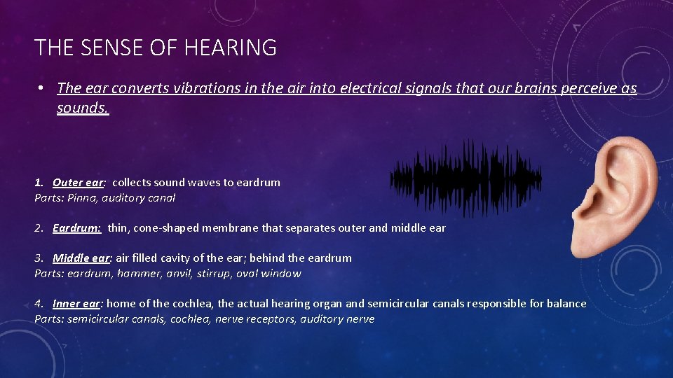 HEARING AND EQUILIBRIUM DONE BY SANAZ OMAR THE