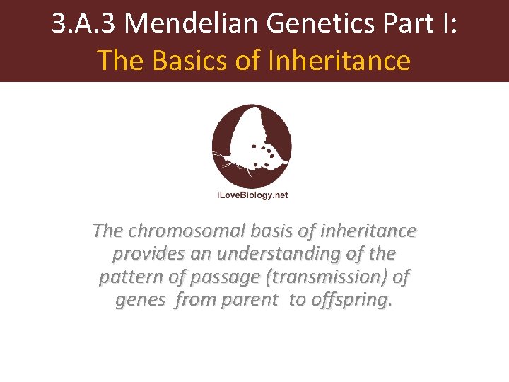 3 A 3 Mendelian Genetics Part I The
