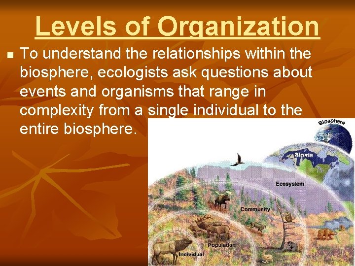 Levels of Organization n To understand the relationships
