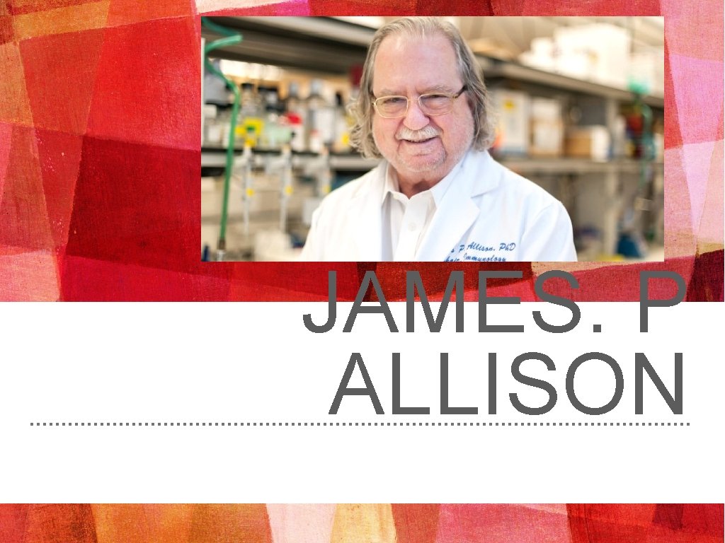 JAMES P ALLISON JAMES ALLISON KIMDIR James P