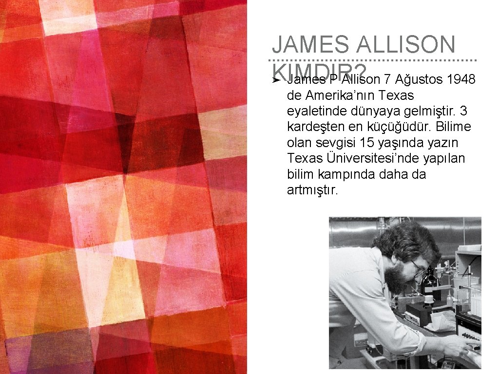 JAMES P ALLISON JAMES ALLISON KIMDIR James P