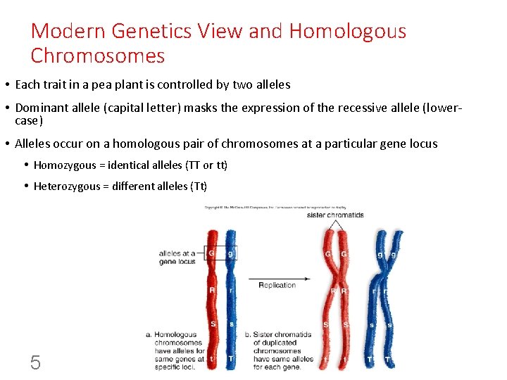 Mendelian Patterns of Inheritance Chapter 11 BIOL 1000