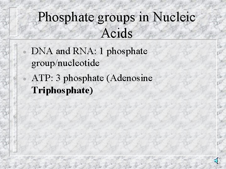 Lesson 8 Nucleic Acids Objectives Lesson 8 Identify