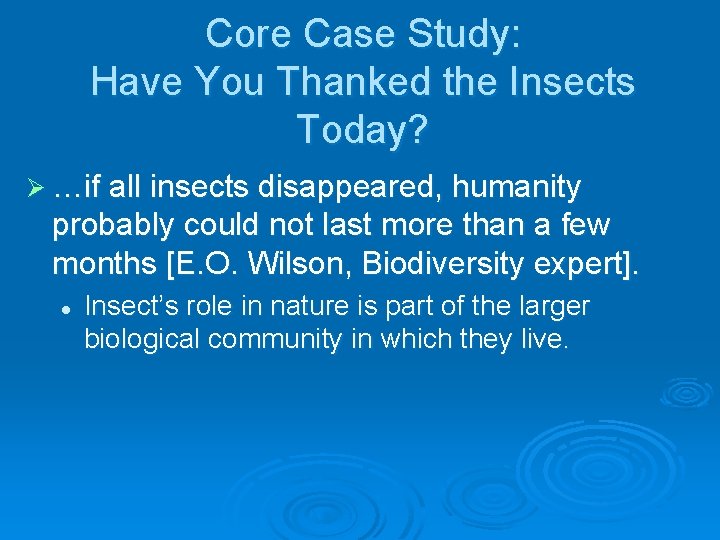 Chapter 15 Ecosystems What Are They and How