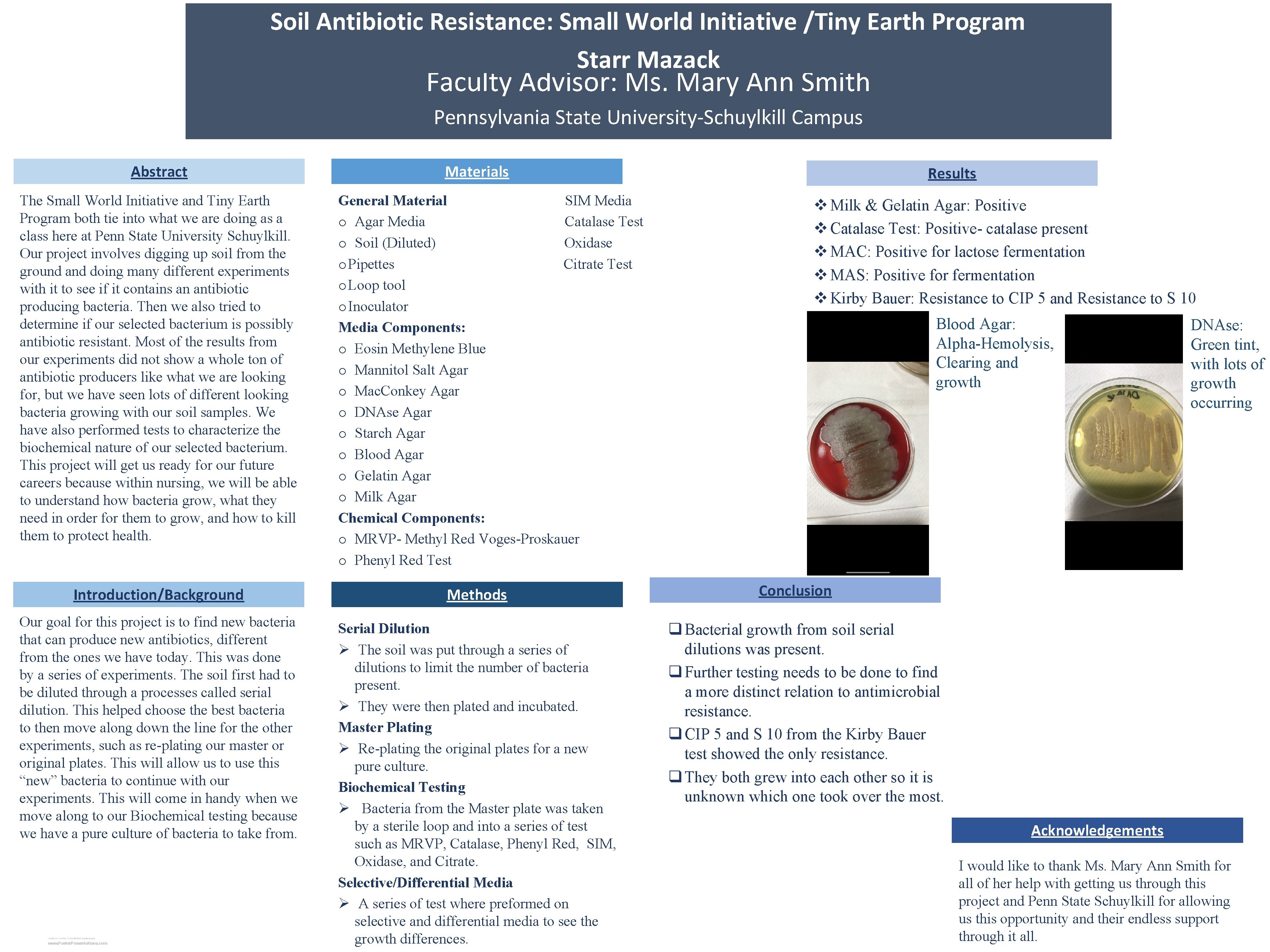 Soil Antibiotic Resistance Small World Initiative Tiny Earth