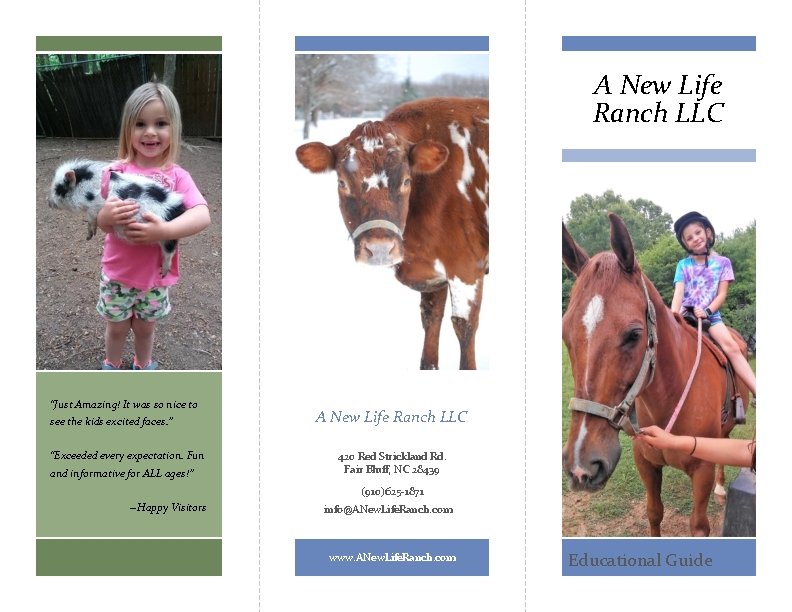 A New Life Ranch LLC Just Amazing It
