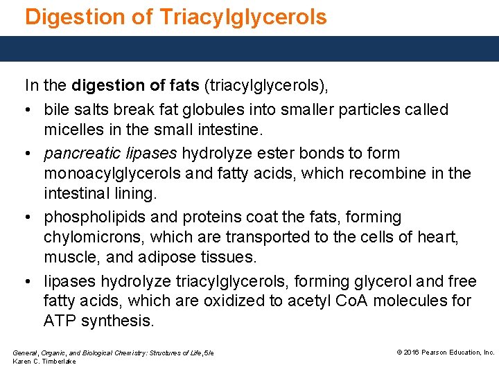 Lecture Presentation Chapter 24 Metabolic Pathways for Lipids