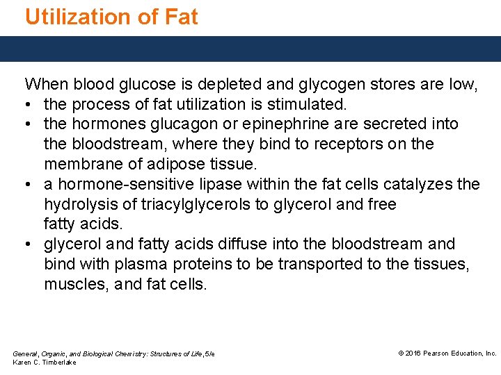 Lecture Presentation Chapter 24 Metabolic Pathways for Lipids