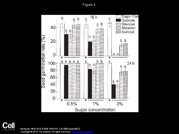 Arabidopsis Sucrose Transporter SUT 4 Interacts with Cytochrome