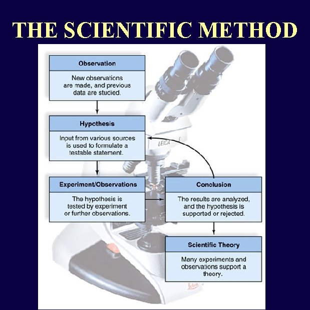 THE SCIENTIFIC METHOD HYPOTHESIS Tentative explanation to account