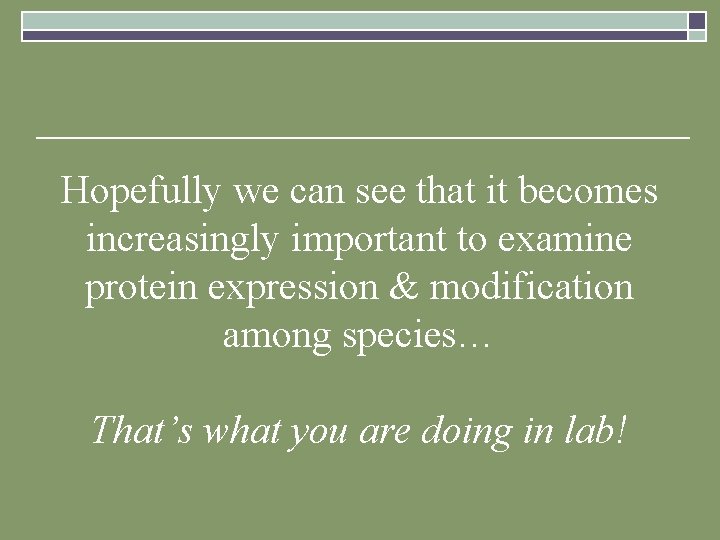 Comparative Proteomics Protein Profiling o Understanding the basics