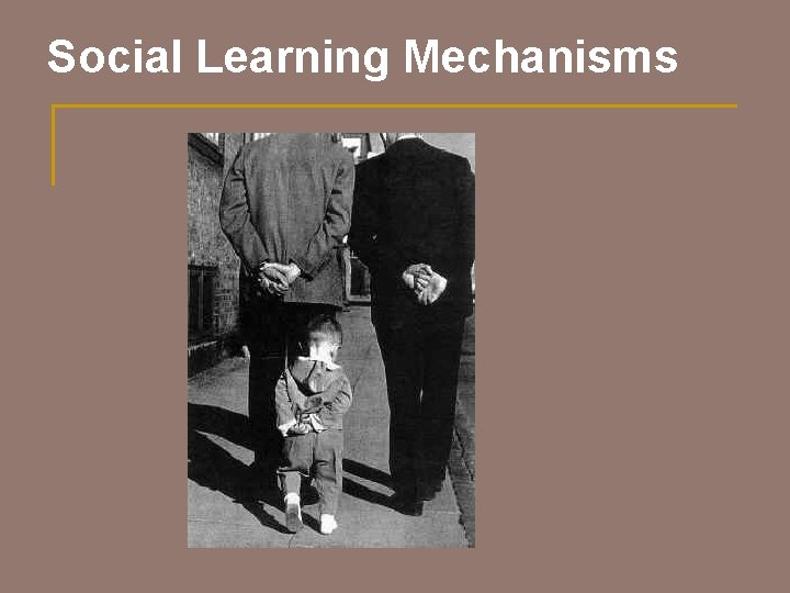Cognition Social Learning Mechanisms Social Learning Mechanisms Stimulus